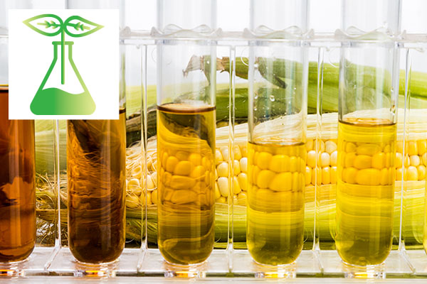 EvoGreen-Bio | Smart Dyeing Process | NICCA Textile Chemicals